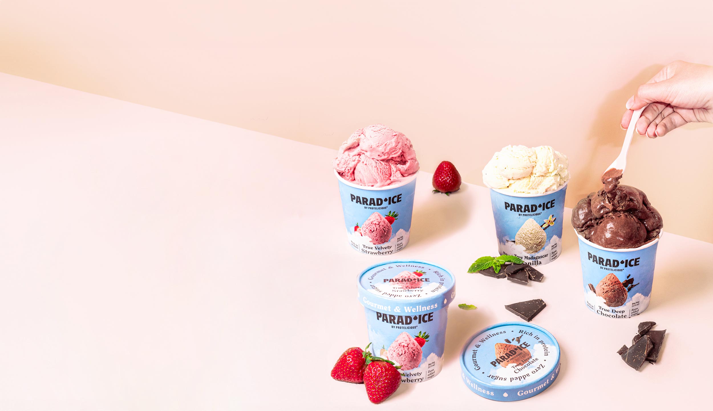 Protelicious - Gourmet Functional Foods