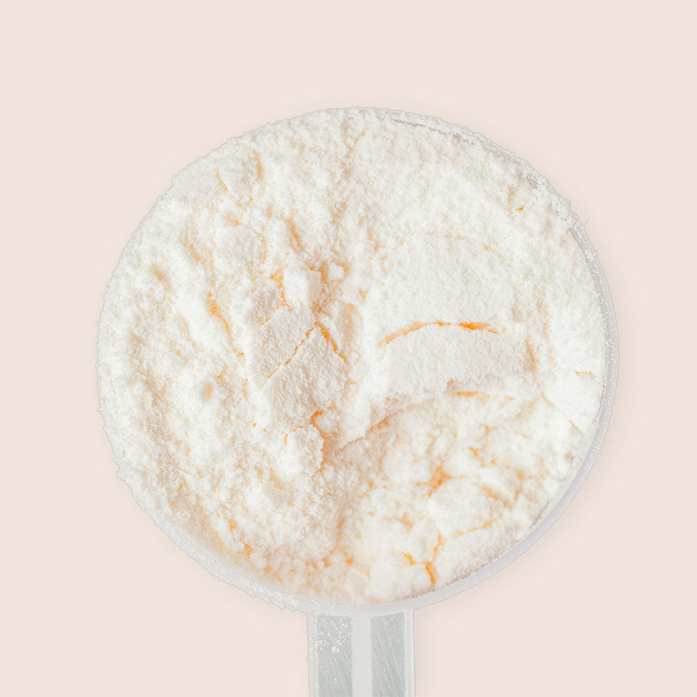 Protelicious - Gourmet Functional Foods